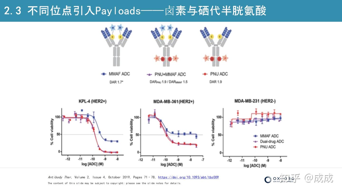 双载荷ADC的构建思路| Antibody-drug conjugates with dual payloads - 知乎