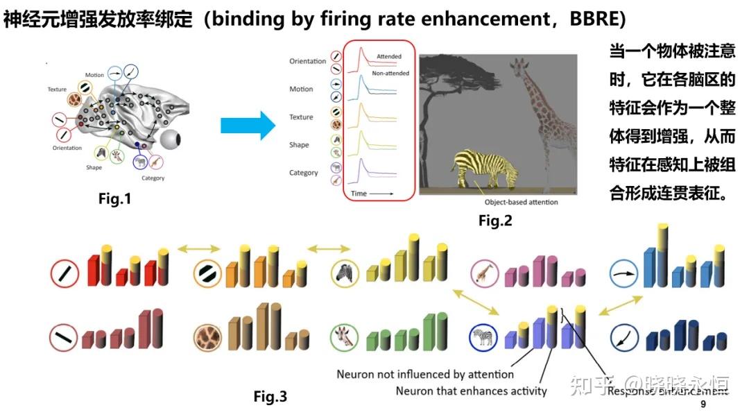 特征绑定（feature binding）PPT分享 - 知乎