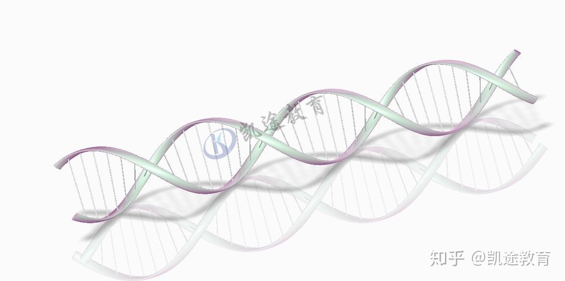 Creo 双螺旋DNA阵列教程 - 知乎