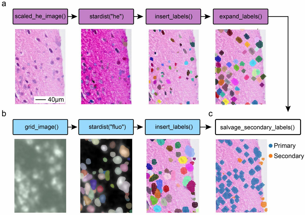 Bin2Cell丨从10X Visium HD数据中重建细胞 - 知乎