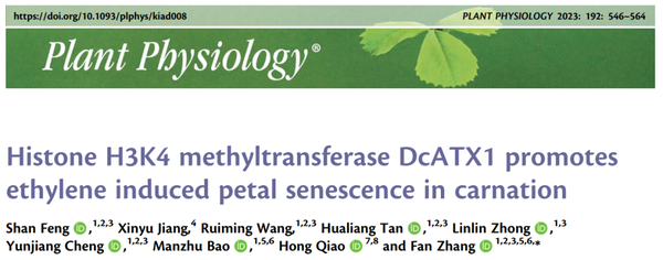 项目文章（ChIP-seq）|Plant Physiol组蛋白H3K4甲基转移酶DcATX1促进乙烯诱导康乃馨花瓣衰老 - 知乎