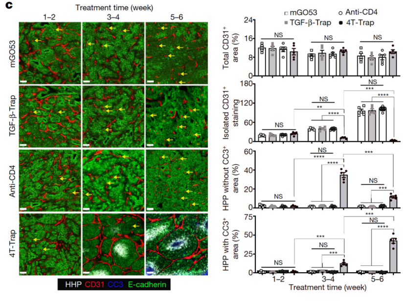 Nature背靠背 | 从基础研究到药物研发，Ming O. Li团队发明“癌症环境免疫疗法” - 知乎