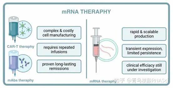 靶向递送——mRNA体内CAR-T疗法的技术突破 - 知乎