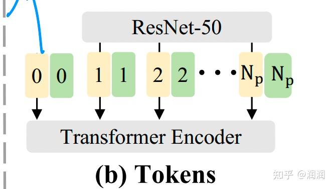 Cerberus Transformer: Joint Semantic, Affordance and Attribute Parsing ...