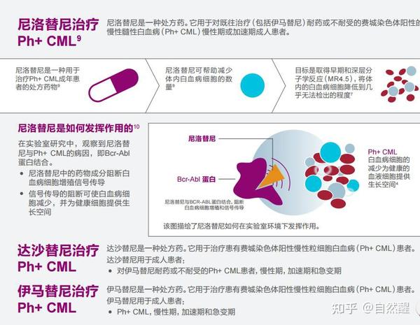 慢性粒细胞白血病（CML）患者科普 - 知乎