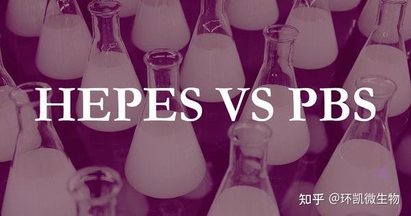 HEPES溶液与PBS缓冲液的对比 - 知乎