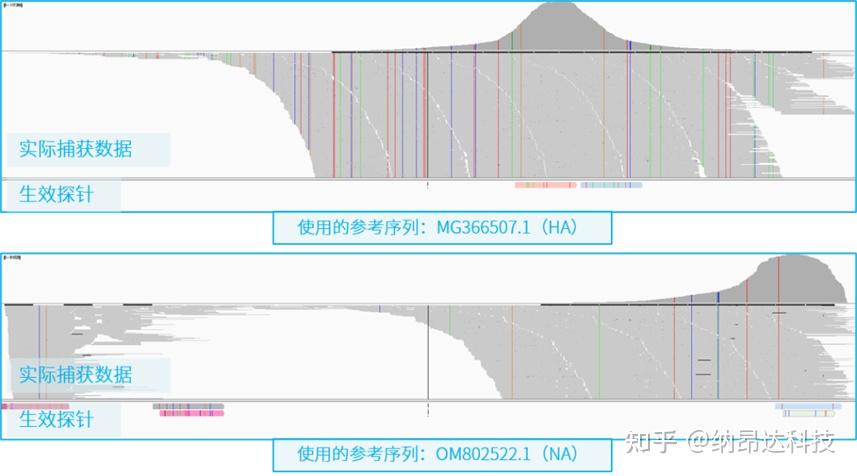 新品上线 | NEX-t Panel：更精准、更经济的 tNGS 病原检测方案 - 知乎