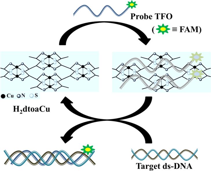 Bio Mater. | MOF在生物技术方面的应用 - 知乎