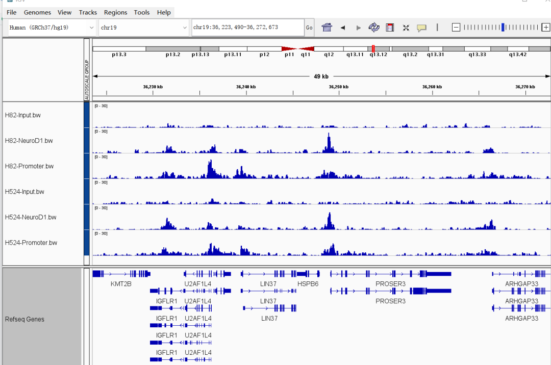 trancriptVis 的左膀右臂: bedVis 和 trackVis - 知乎
