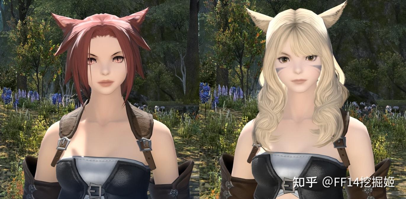 猫男or猫娘什么脸型才是最棒的？FF14猫魅族脸型推荐 - 知乎