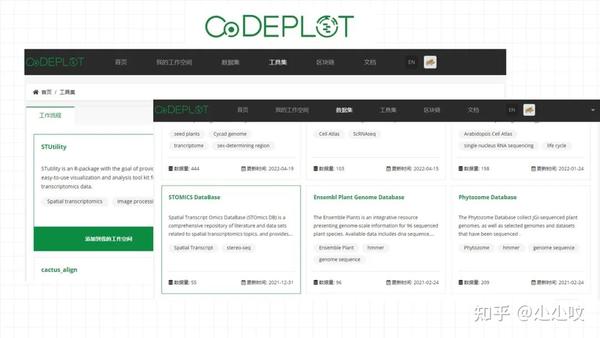 重磅发布 | 时空组学数据库STOmicsDB，“一站式”赋能时空组学研究！ - 知乎