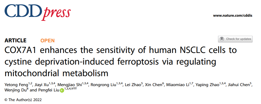 Cell Death Dis︱刘朋飞团队合作发现COX7A1通过调节线粒体代谢增强人NSCLC细胞对胱氨酸缺失诱导的铁死亡敏感性 - 知乎