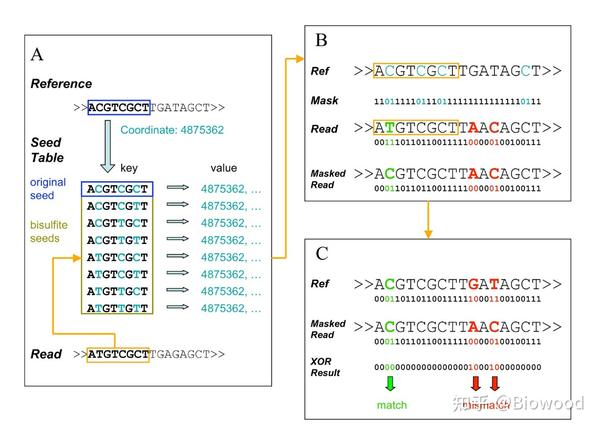BS-seq的原理及比对方法 | 甲基化测序 | 接头是怎么加上去的 - 知乎