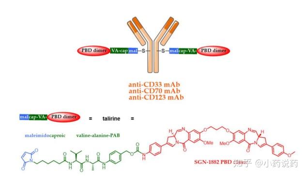 开发中的新策略：第三代ADC - 知乎