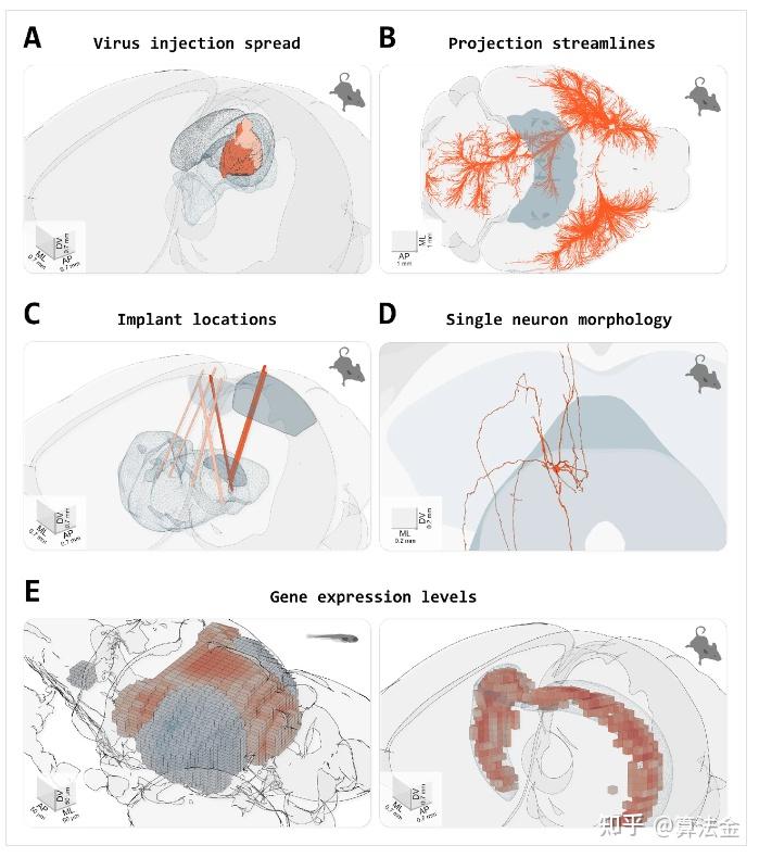 Rich，一个神奇的 Python 库 - 知乎