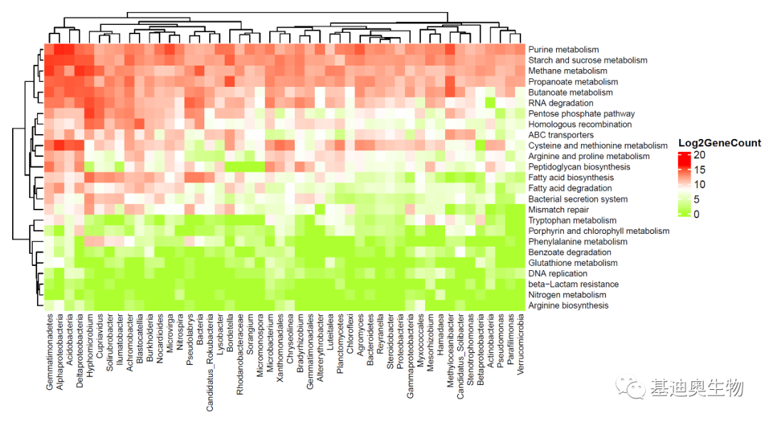 R语言教程|如何绘制漂亮的组合热图？ - 知乎