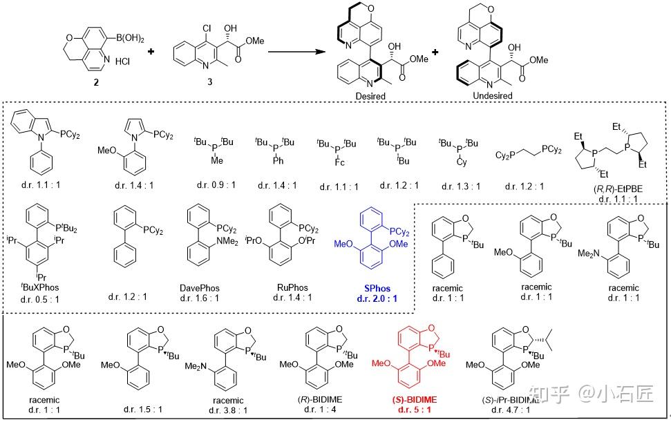 从结构到选择性：BIDIME类配体如何实现轴手性偶联的高效构建 - 知乎
