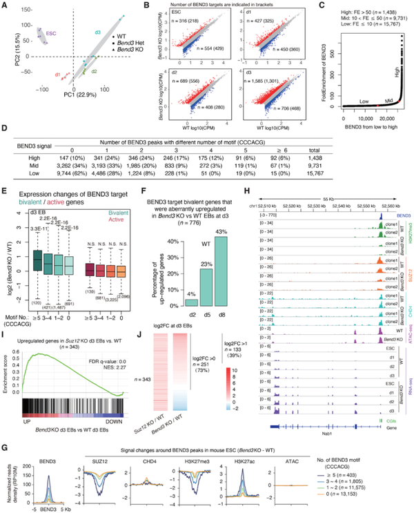 Science — 朱冰/许瑞明团队发现CpG岛结合蛋白BEND3的作用机制 - 知乎