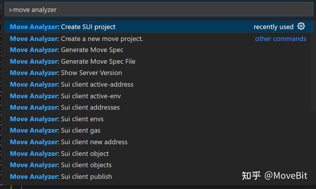 Sui Move Analyzer 教程 - 知乎