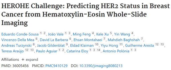Jou Ima | AI病理挑战赛：通过HE切片图像预测乳腺癌HER2状态 - 知乎
