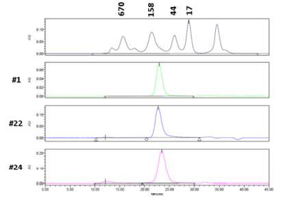 应用案例 | Protein Maker高通量全自动蛋白纯化仪 - 知乎