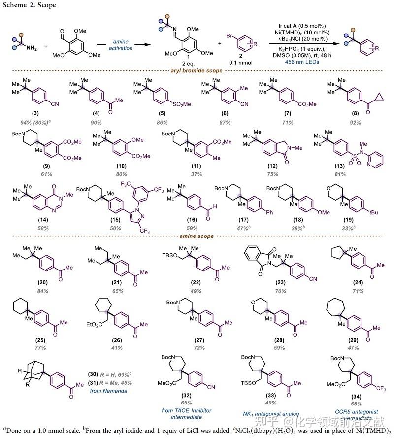 Tomislav Rovis组JACS：双重催化实现α-3°伯胺的脱氨基化交叉偶联反应 - 知乎