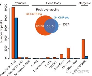 一文带你解锁新技术—CUT&Tag技术 - 知乎