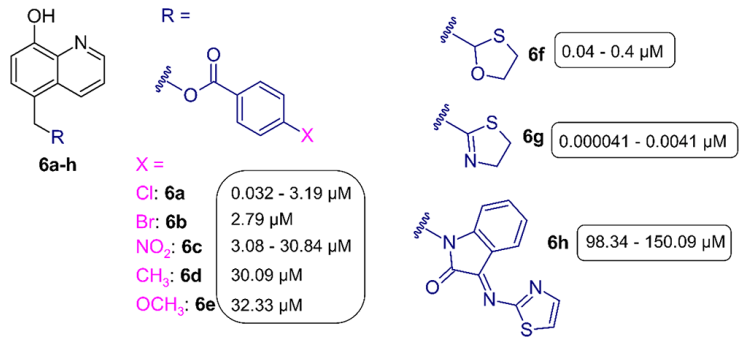 药物发现│新型抗菌 8-羟基喹啉（8HQ）类药物的研究进展