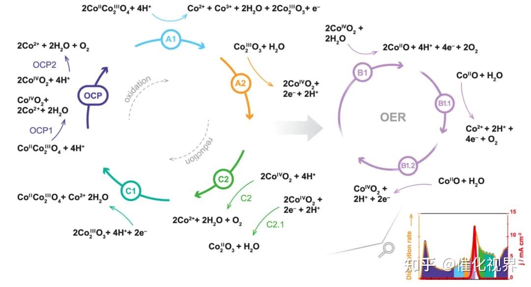 JACS：Co₃O₄ 在酸性OER中的瞬态溶解过程及其影响 - 知乎
