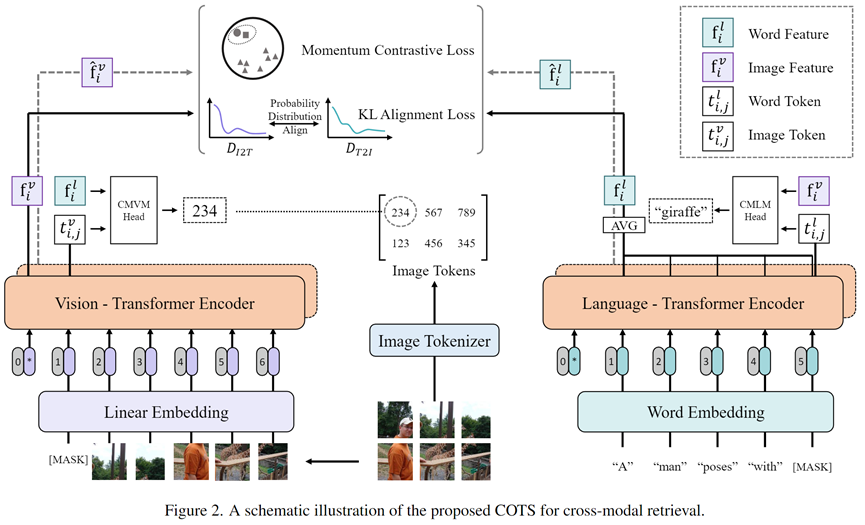 论文解读|CVPR2022: Collaborative Two-Stream Vision-Language Pre-Training Model for Cross-Modal ...