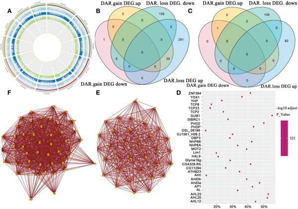 ATAC+RNA-seq揭秘植物领域的基因表观遗传调控！ - 知乎