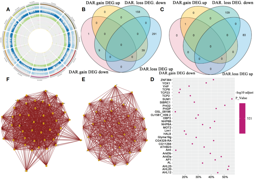 ATAC+RNA-seq揭秘植物领域的基因表观遗传调控！ - 知乎