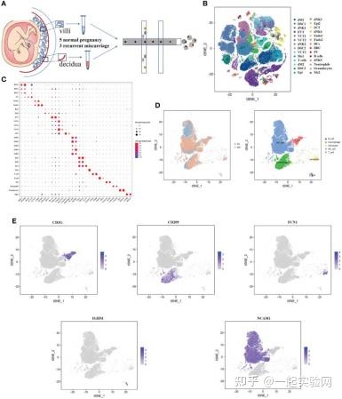 5+ 非肿瘤＋single-cell ＋ bulk RNA-sequencing联合分析新方向 - 知乎