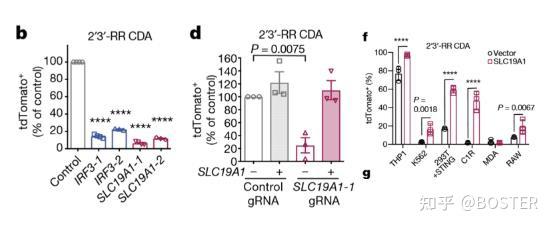 Nature：环状二核苷酸类分子的转运体SLC19A1 - 知乎