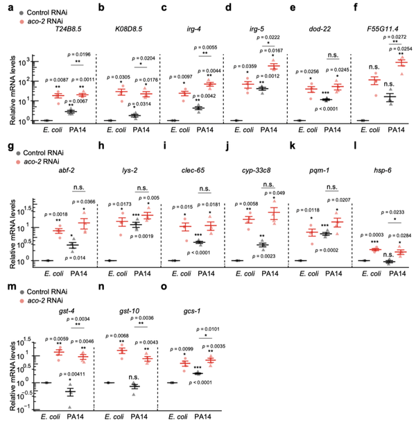Nature Communications丨线粒体乌头酸酶通过调节草酰乙酸和线粒体未折叠蛋白反应来抑制免疫反应 - 知乎
