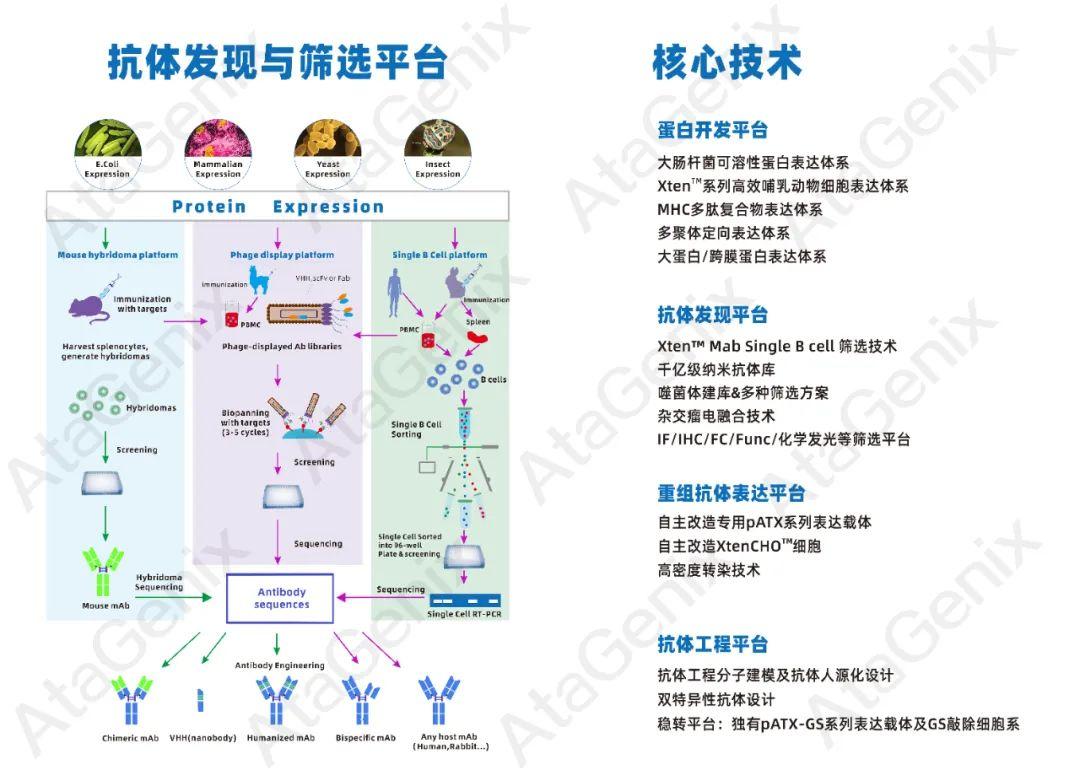 精彩全景 普健生物一站式蛋白抗体开发服务助力中国抗体药起航 知乎