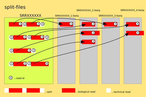 sra转fastq笔记（fastq-dump、fasterq-dump和parallel-fastq-dump） - 知乎