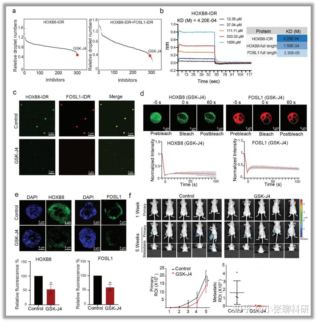 文献详解|提到相分离就头大？来看看这篇文章怎么说！ - 知乎
