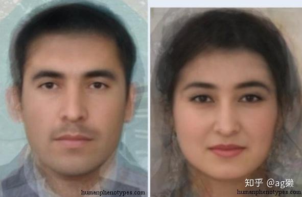 丝绸之路的栖居者：中东和印度的平均脸 - 知乎