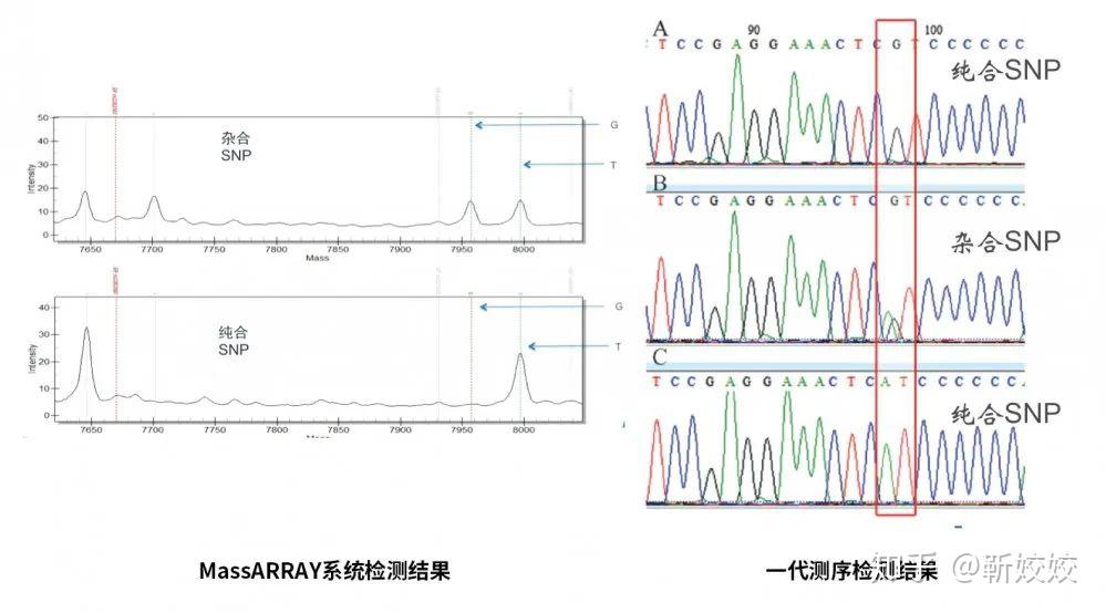用质谱技术进行基因分型，Agena做到了！ - 知乎