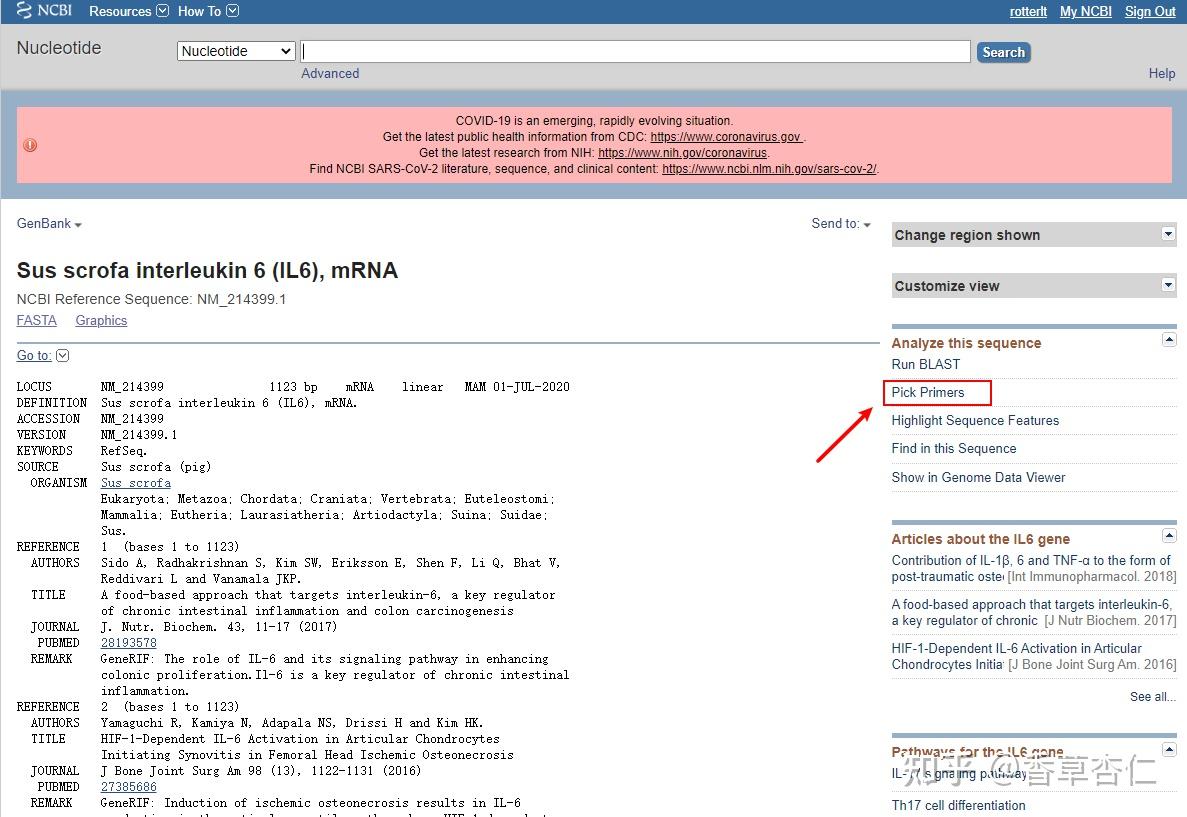 简单5步设计qPCR引物 - 知乎