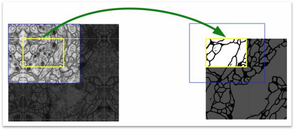 【图像处理】U-Net中的重叠-切片(Overlap-tile) - 知乎