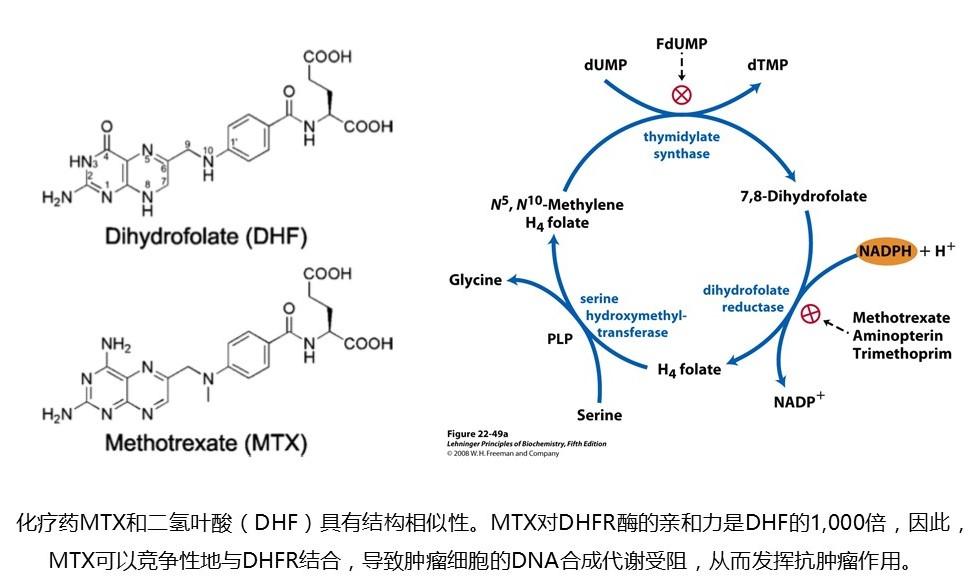 染色体外DNA（下篇）：肿瘤耐药的秘密武器 - 知乎