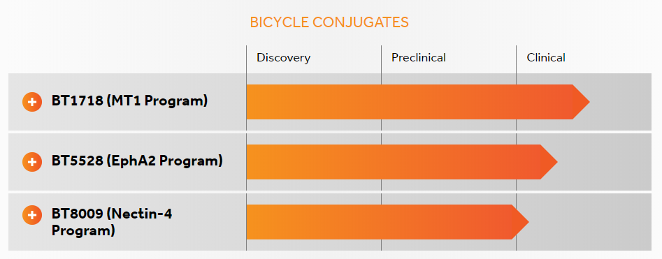 深受MNC青睐的双环肽(Bicycle)技术平台用于开发肿瘤新疗法 - 知乎