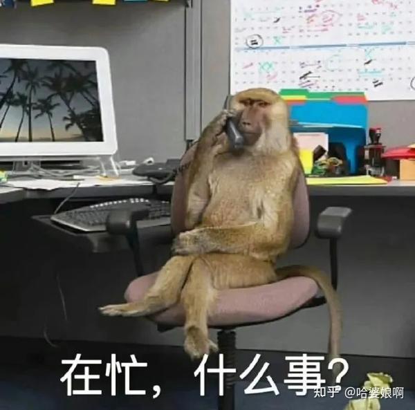发点猴子表情包 - 知乎