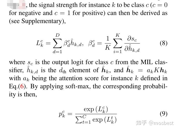 DTFD-MIL：组织病理学全玻片图像分类的双层特征提取多实例学习 - 知乎