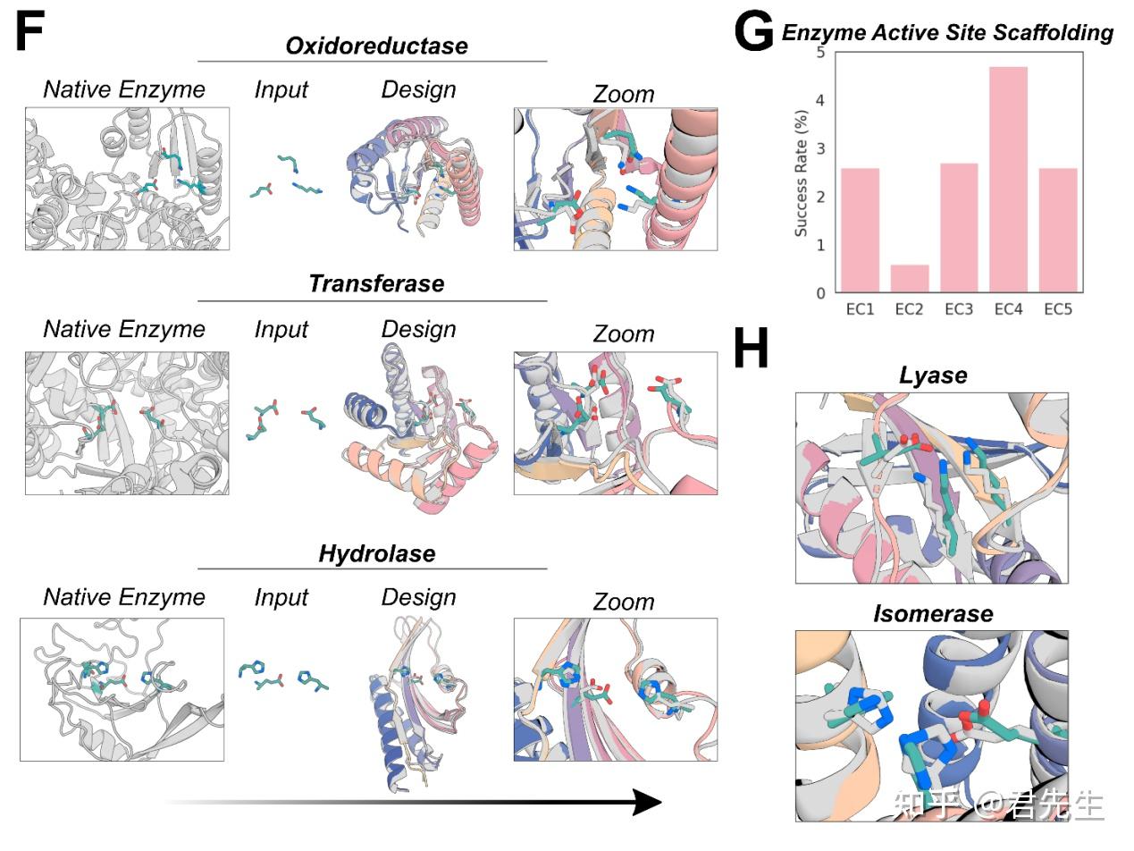 万字长文详细讲解蛋白质设计统一框架RFdiffusion - 知乎
