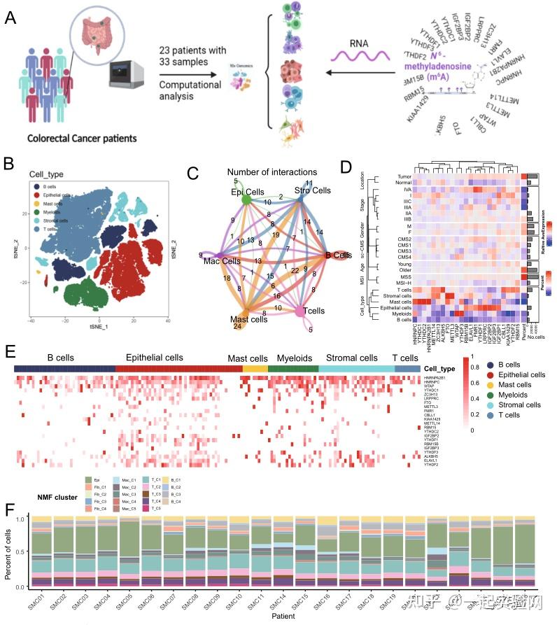8+！单细胞+m6A相关分析~ - 知乎