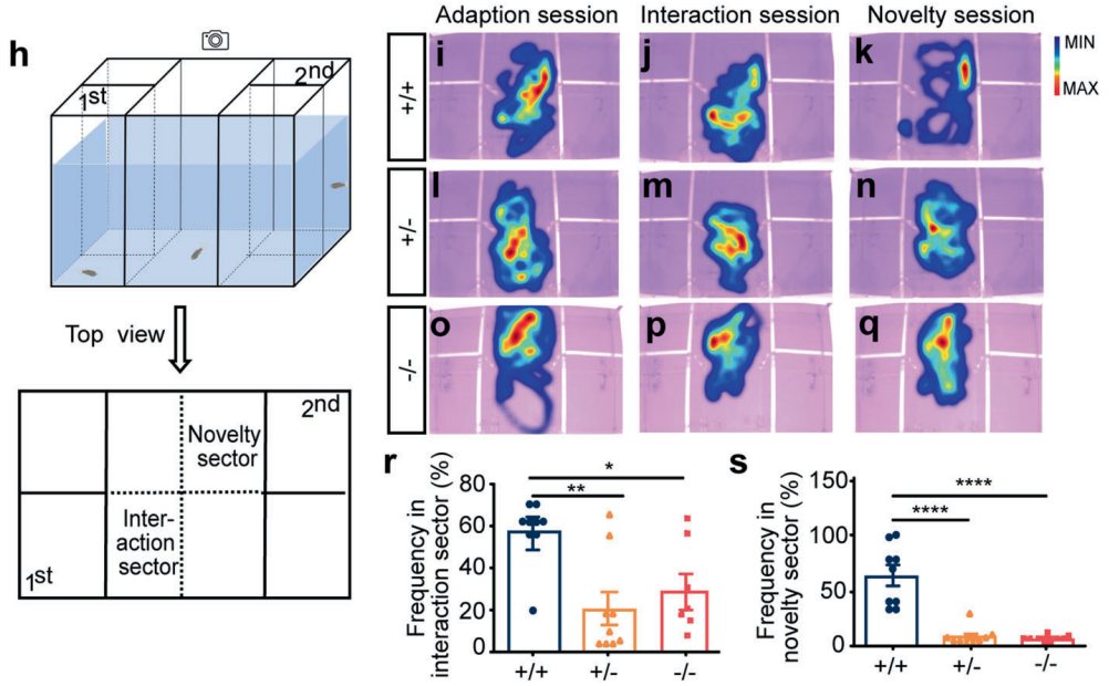 STTT：四川大学贾大/张小虎/莫显明与首都医科大学李巍等发现SCGN缺陷是孤独症谱系障碍的危险因素 - 知乎