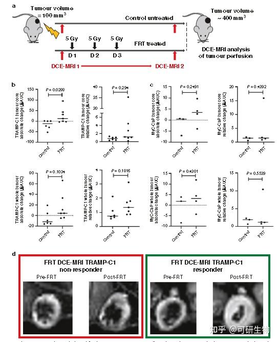 肿瘤照射联合血管靶向光动力疗法增强临床前前列腺癌的抗肿瘤作用 - 知乎